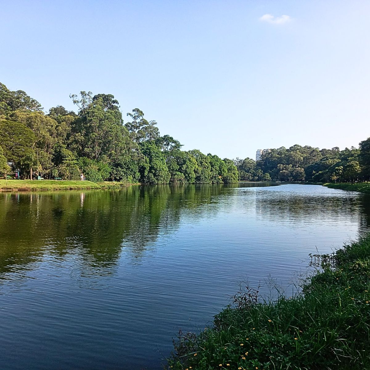 São Paulo Travel Guide: Discover The Pulse Of Brazil’s Largest City ...